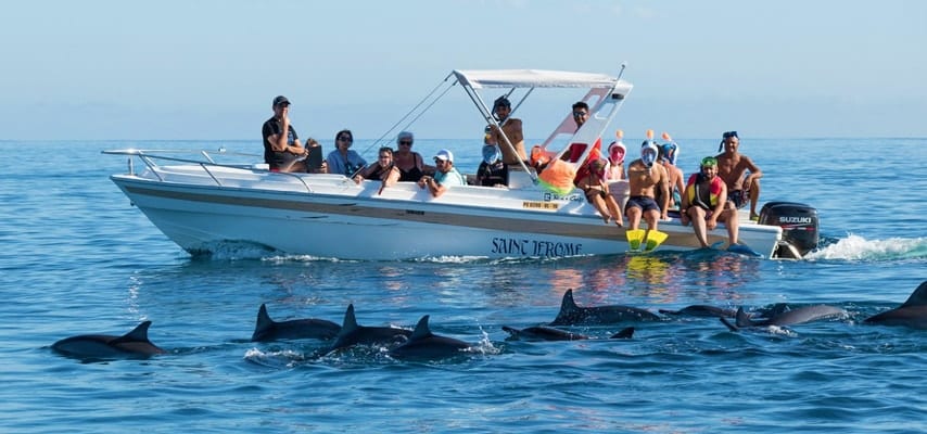 Swim with Dolphins in Mauritius (West Coast) - TRAVELHUB