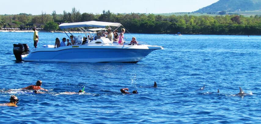 Swim with Dolphins in Mauritius (West Coast) - TRAVELHUB