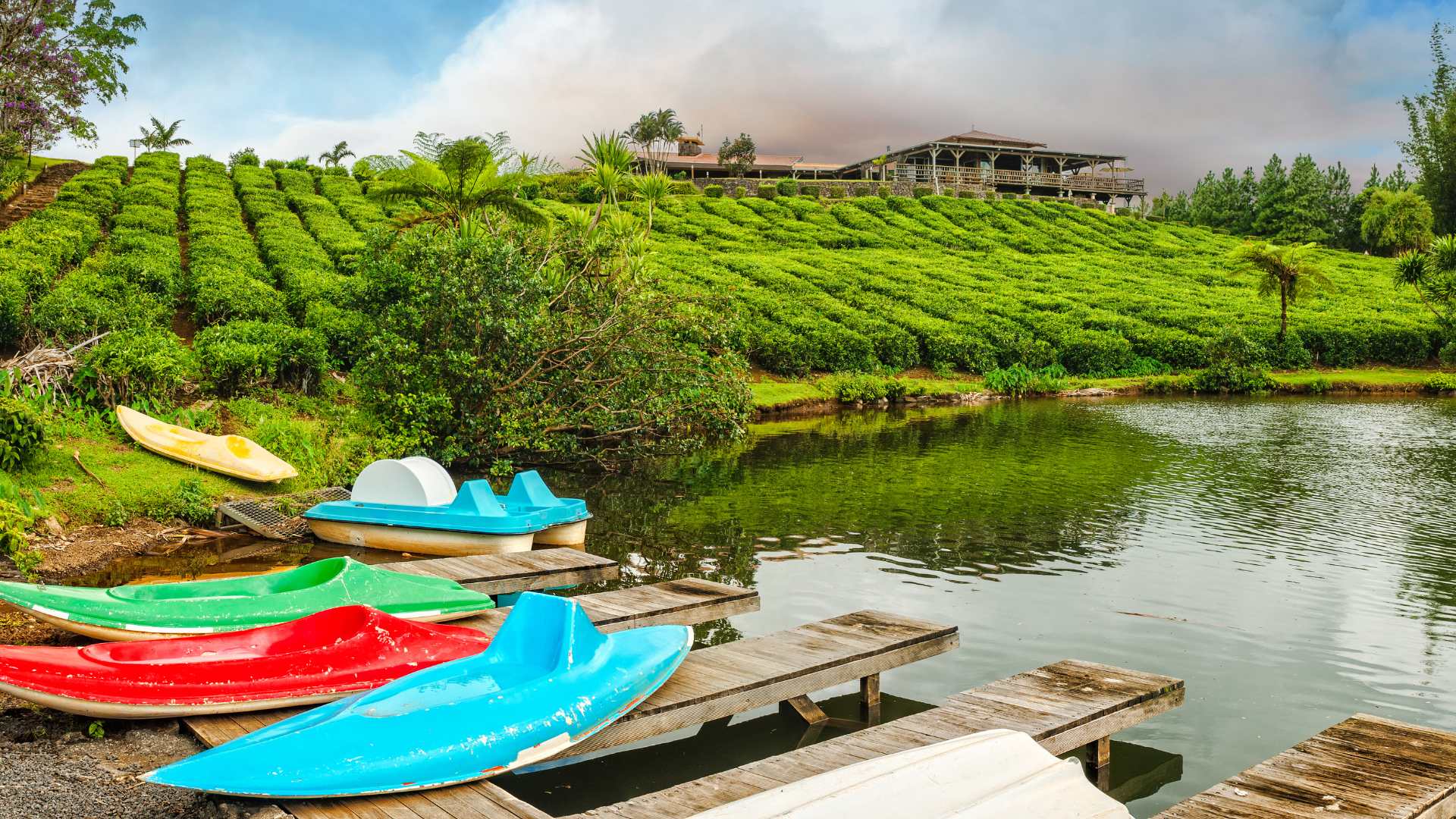 Mauritius Tea Tasting & Wildlife Tour | Private Sightseeing (6 hrs)