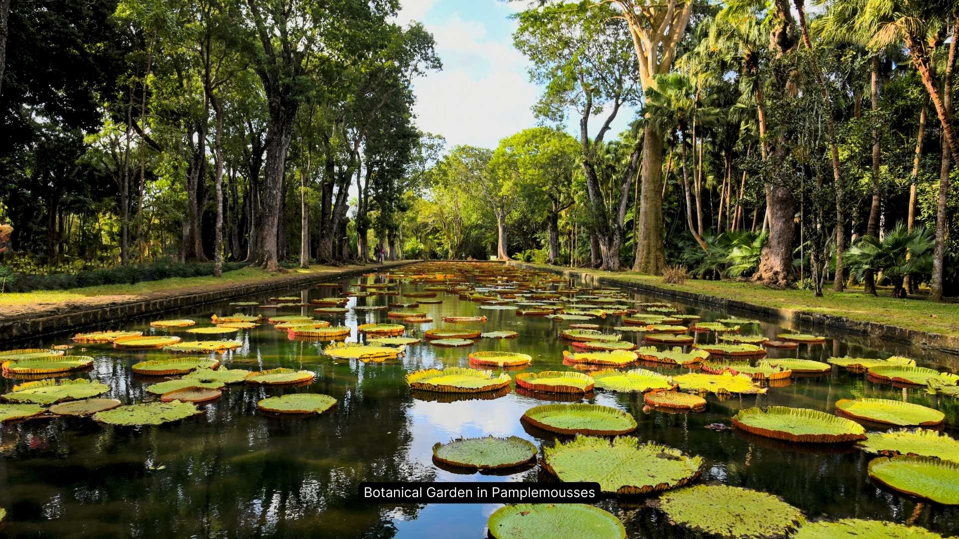 Cultural North Tour | Private Sightseeing Mauritius (6hrs)